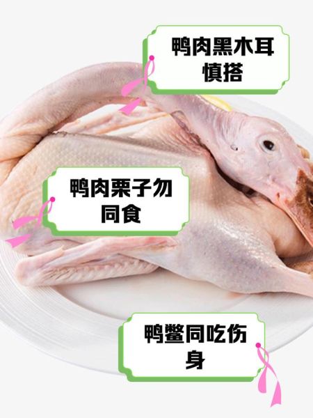鸭肉的功效与作用禁忌_什么人不能吃鸭肉-第3张图片-山城妙识
