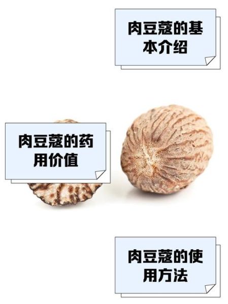 肉蔻的功效与作用_肉蔻怎么吃-第3张图片-山城妙识 肉蔻的功效与作用_肉蔻怎么吃-第3张图片-山城妙识