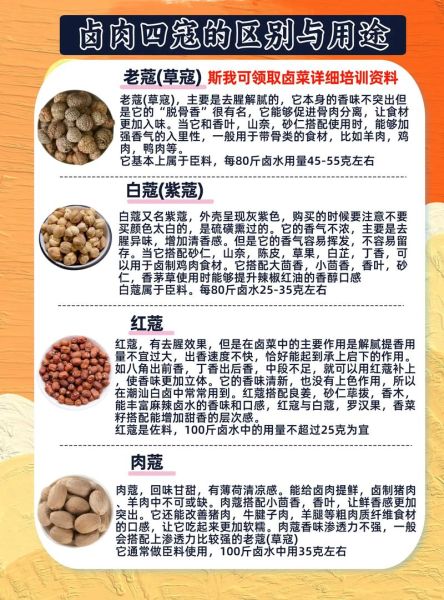 肉蔻的功效与作用_肉蔻怎么吃-第2张图片-山城妙识 肉蔻的功效与作用_肉蔻怎么吃-第2张图片-山城妙识