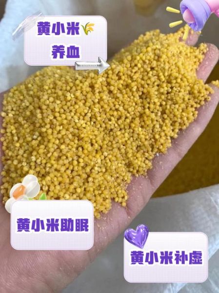 黄小米的功效与作用_黄小米怎么煮最养胃-第2张图片-山城妙识 黄小米的功效与作用_黄小米怎么煮最养胃-第2张图片-山城妙识