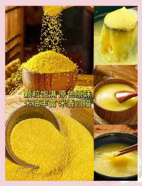 黄小米的功效与作用_黄小米怎么煮最养胃-第3张图片-山城妙识 黄小米的功效与作用_黄小米怎么煮最养胃-第3张图片-山城妙识