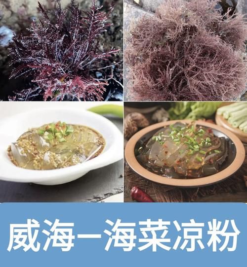 海菜凉粉怎么熬制_海菜凉粉的做法步骤-第1张图片-山城妙识 海菜凉粉怎么熬制_海菜凉粉的做法步骤-第1张图片-山城妙识