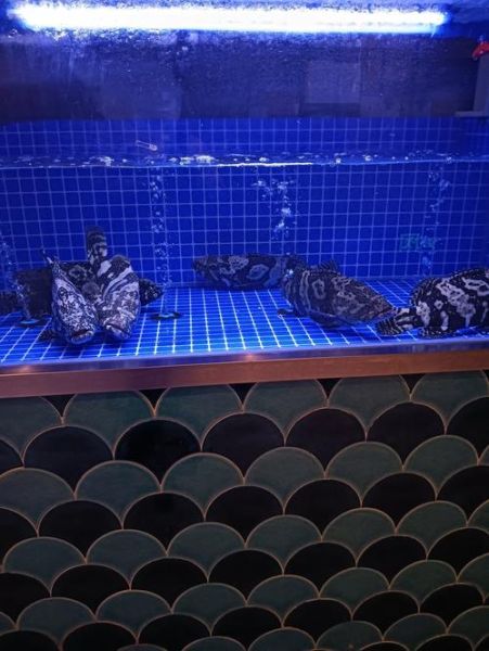 老醋海蜇头怎么做_老醋海蜇头用哪种醋最好-第1张图片-山城妙识 老醋海蜇头怎么做_老醋海蜇头用哪种醋最好-第1张图片-山城妙识