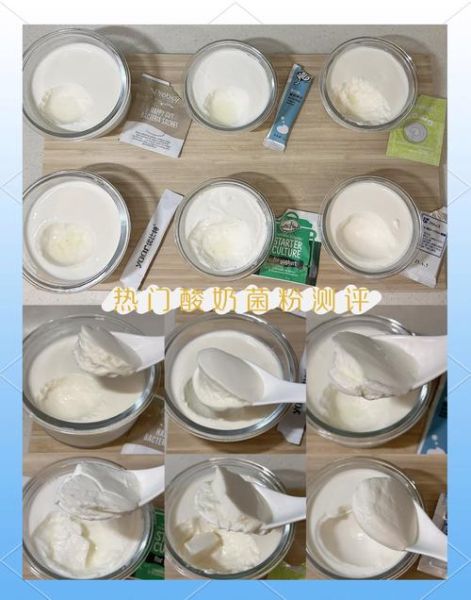 酸奶发酵剂有哪些_家用酸奶发酵剂怎么选-第2张图片-山城妙识 酸奶发酵剂有哪些_家用酸奶发酵剂怎么选-第2张图片-山城妙识