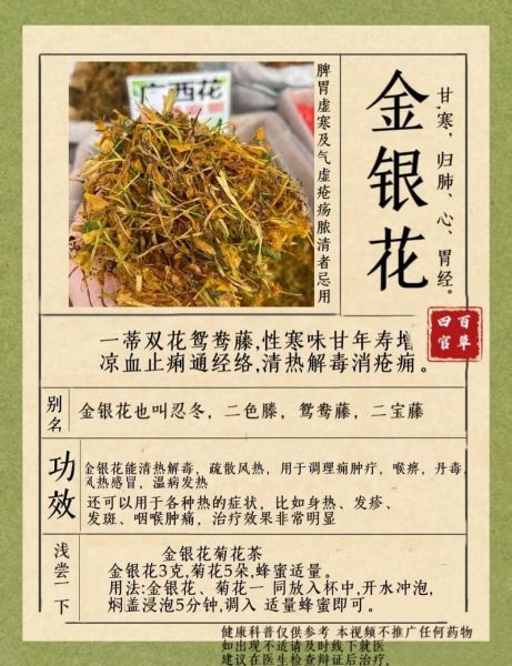 金银花有什么功效_金银花主治哪些病-第1张图片-山城妙识