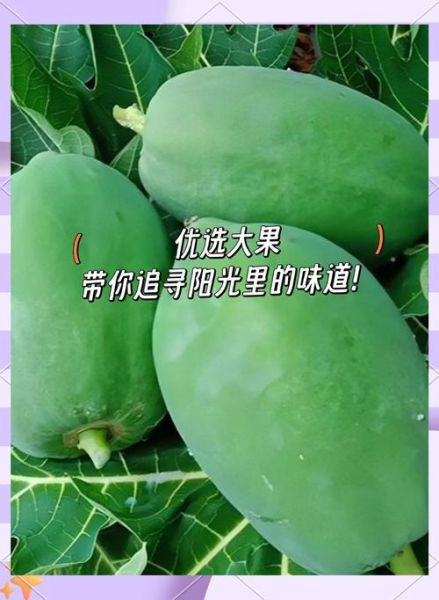 青木瓜能生吃吗_生吃青木瓜的注意事项-第2张图片-山城妙识