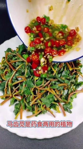 马齿苋怎么吃_马齿苋的做法大全-第3张图片-山城妙识