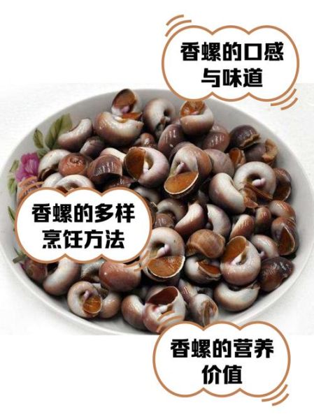 香螺怎么清洗_香螺的做法大全-第2张图片-山城妙识