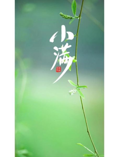小满节气图片怎么拍_小满节气有哪些传统习俗-第1张图片-山城妙识