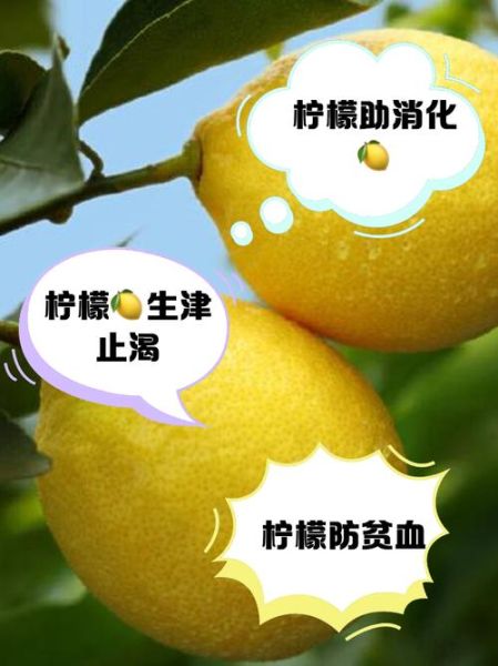柠檬能治什么病_柠檬的药用价值有哪些-第3张图片-山城妙识