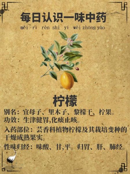 柠檬能治什么病_柠檬的药用价值有哪些-第1张图片-山城妙识