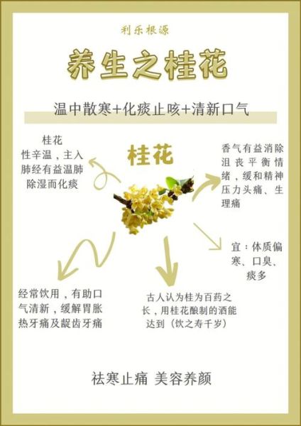 新鲜桂花怎么处理食用_桂花怎么吃最香-第1张图片-山城妙识 新鲜桂花怎么处理食用_桂花怎么吃最香-第1张图片-山城妙识