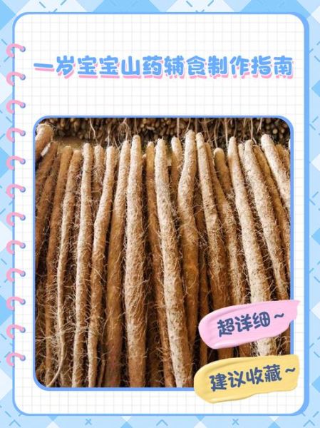 1岁宝宝山药怎么做_山药辅食做法大全-第1张图片-山城妙识
