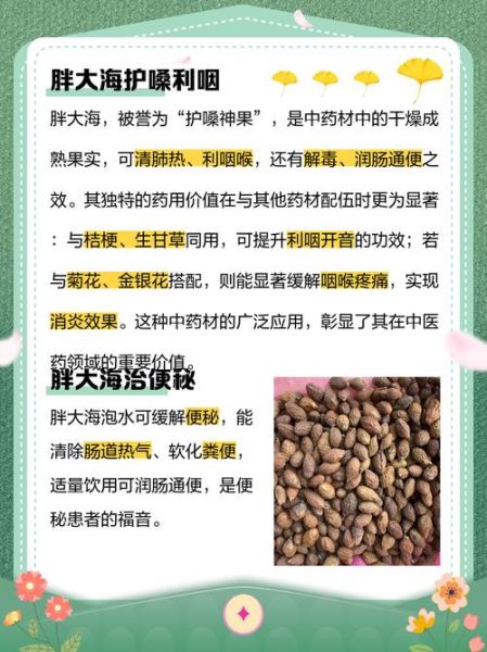胖大海泡水喝的功效和副作用_胖大海能长期喝吗-第2张图片-山城妙识
