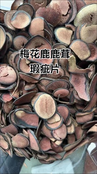 鹿角片和鹿茸片的区别_哪个更适合日常养生-第3张图片-山城妙识 鹿角片和鹿茸片的区别_哪个更适合日常养生-第3张图片-山城妙识