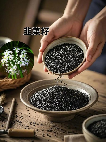 韭菜子泡水喝有效果吗_韭菜子泡水正确方法-第1张图片-山城妙识