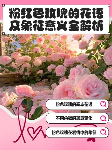 粉色玫瑰代表什么_粉色玫瑰花语大全-第2张图片-山城妙识