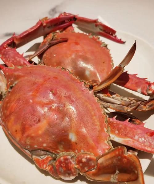 大连螃蟹价格多少钱一斤_大连螃蟹什么时候最便宜-第2张图片-山城妙识
