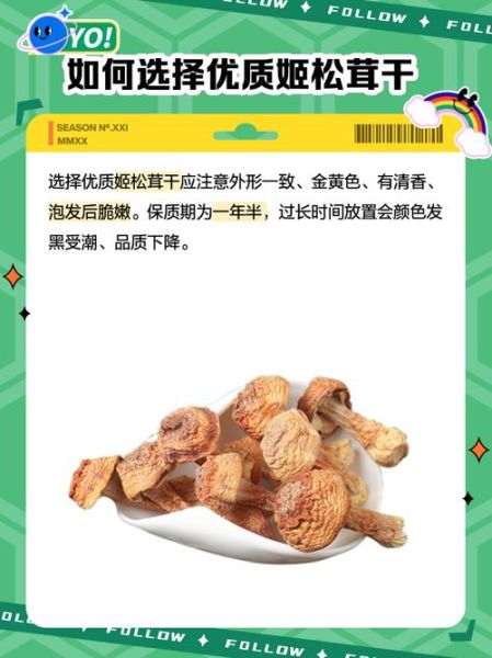 干松茸的做法大全_干松茸的功效与作用-第1张图片-山城妙识 干松茸的做法大全_干松茸的功效与作用-第1张图片-山城妙识