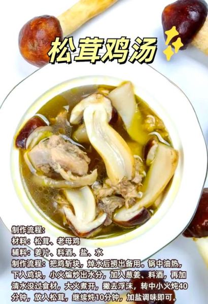 干松茸的做法大全_干松茸的功效与作用-第3张图片-山城妙识 干松茸的做法大全_干松茸的功效与作用-第3张图片-山城妙识