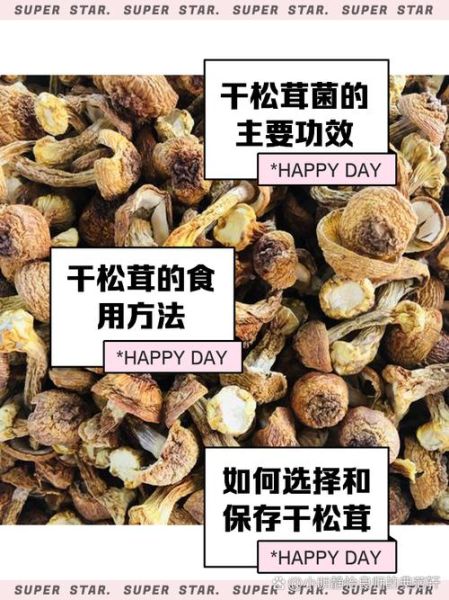 干松茸的做法大全_干松茸的功效与作用-第2张图片-山城妙识 干松茸的做法大全_干松茸的功效与作用-第2张图片-山城妙识
