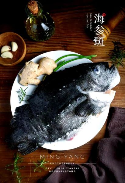 海参斑鱼有毒吗_海参斑鱼食用安全吗-第1张图片-山城妙识