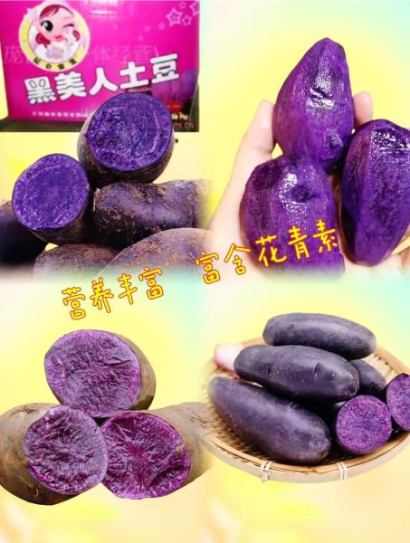 黑土豆和紫薯的区别_哪个营养价值更高-第1张图片-山城妙识 黑土豆和紫薯的区别_哪个营养价值更高-第1张图片-山城妙识