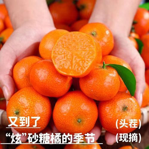 沙糖桔产地在哪里_正宗沙糖桔哪里买-第2张图片-山城妙识