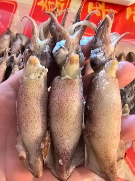 籽乌的营养价值_籽乌的功效与作用-第1张图片-山城妙识 籽乌的营养价值_籽乌的功效与作用-第1张图片-山城妙识