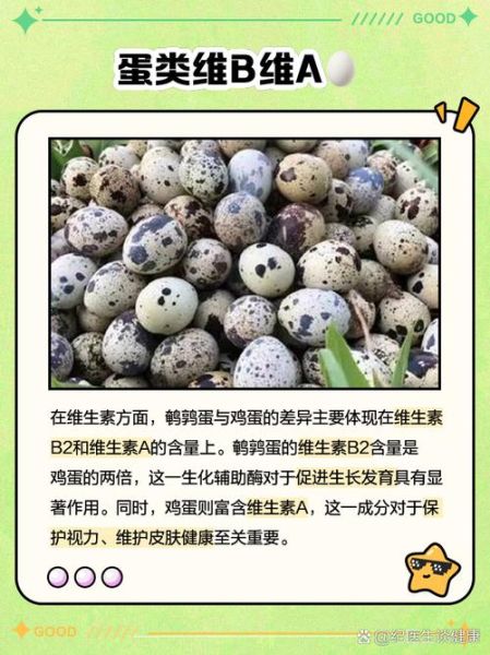 鹌鹑蛋是什么动物的蛋_鹌鹑蛋和鸡蛋营养区别-第1张图片-山城妙识 鹌鹑蛋是什么动物的蛋_鹌鹑蛋和鸡蛋营养区别-第1张图片-山城妙识