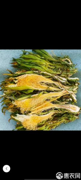 剑花图片大全_剑花长什么样-第3张图片-山城妙识 剑花图片大全_剑花长什么样-第3张图片-山城妙识