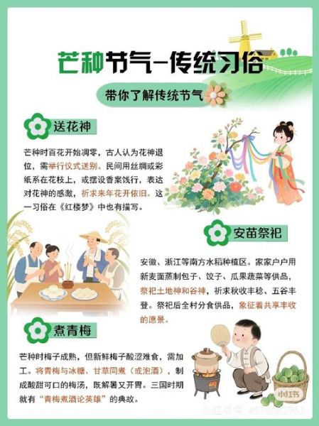 芒种节气吃什么养生_芒种节气有哪些传统习俗-第2张图片-山城妙识 芒种节气吃什么养生_芒种节气有哪些传统习俗-第2张图片-山城妙识
