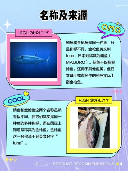 鲔鱼图片高清_鲔鱼和金枪鱼的区别-第1张图片-山城妙识