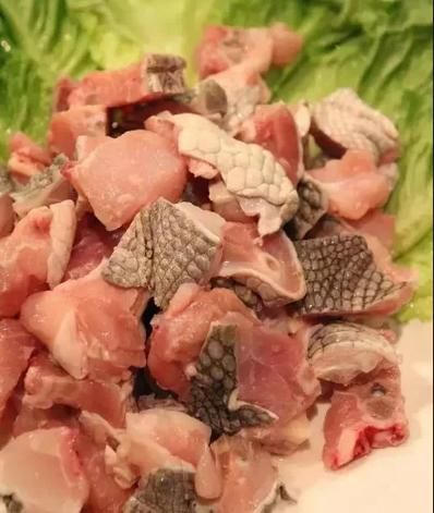 黄焖鳄鱼肉怎么做_鳄鱼肉去腥技巧-第3张图片-山城妙识