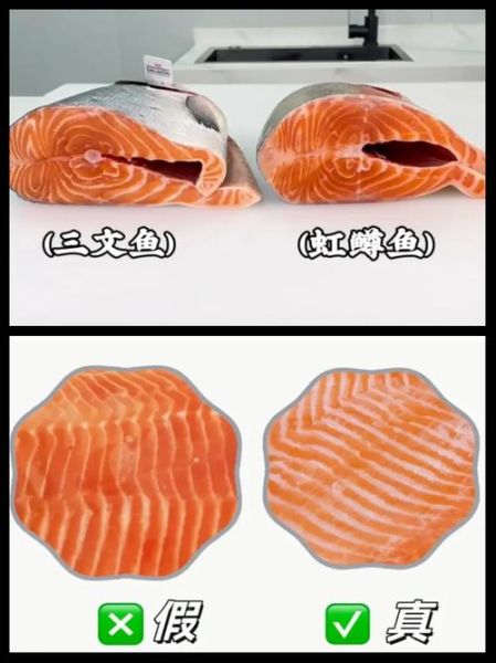 虹鳟鱼和三文鱼的区别_虹鳟鱼图片怎么分辨真假-第1张图片-山城妙识