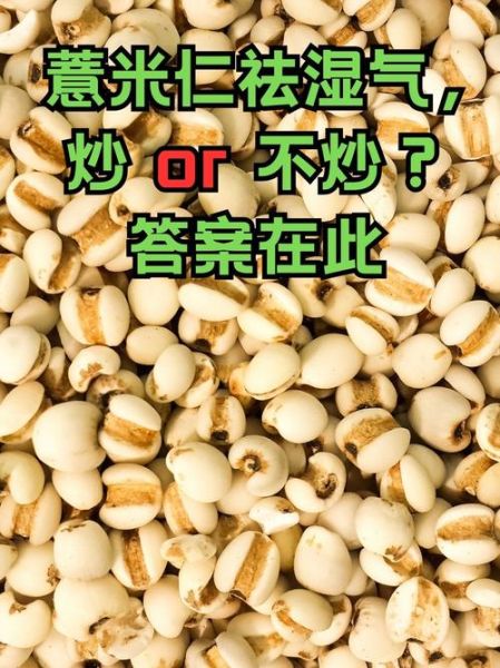 薏米怎么吃最好_薏米去湿气吃法-第1张图片-山城妙识 薏米怎么吃最好_薏米去湿气吃法-第1张图片-山城妙识