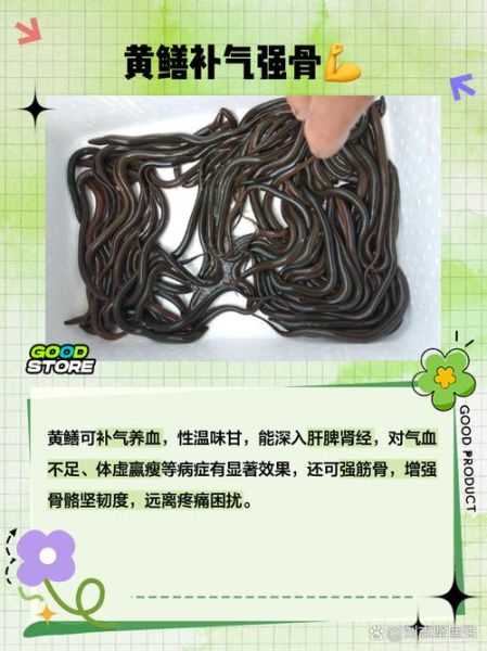 黄鳝鱼的营养价值及功效_黄鳝鱼怎么吃最补-第1张图片-山城妙识 黄鳝鱼的营养价值及功效_黄鳝鱼怎么吃最补-第1张图片-山城妙识