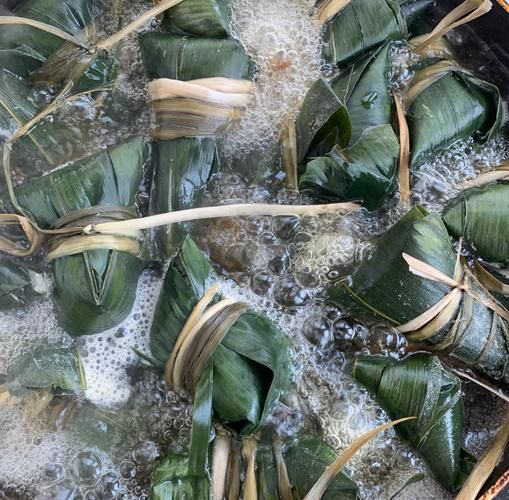 粽子馅100种大全_粽子馅怎么搭配才好吃-第3张图片-山城妙识 粽子馅100种大全_粽子馅怎么搭配才好吃-第3张图片-山城妙识