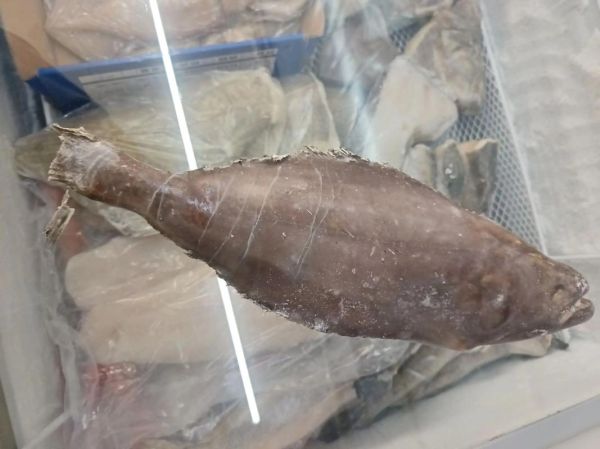 鲽鱼图片多少钱一斤_鲽鱼价格影响因素-第3张图片-山城妙识 鲽鱼图片多少钱一斤_鲽鱼价格影响因素-第3张图片-山城妙识