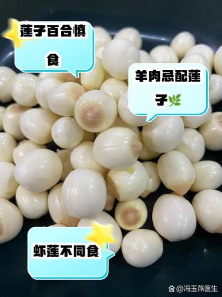 莲子功效与禁忌_莲子相克食物有哪些-第1张图片-山城妙识 莲子功效与禁忌_莲子相克食物有哪些-第1张图片-山城妙识