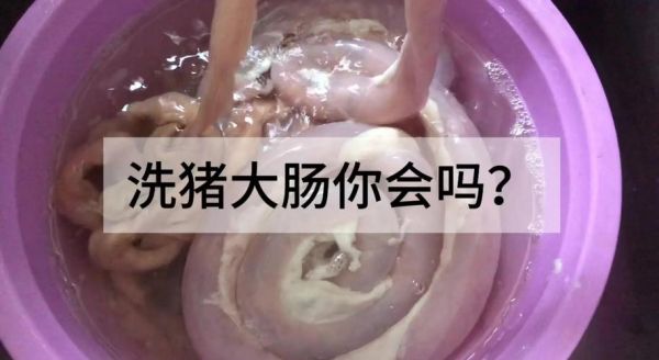 肥肠怎么清洗才干净_肥肠去腥味的最佳方法-第2张图片-山城妙识