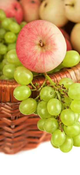 水果图片大全大图好看_哪些水果拍照最出片-第2张图片-山城妙识 水果图片大全大图好看_哪些水果拍照最出片-第2张图片-山城妙识