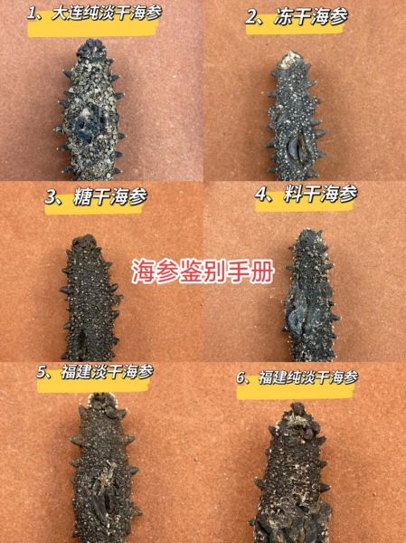 淡干海参和盐干海参有什么区别_哪个更好-第1张图片-山城妙识 淡干海参和盐干海参有什么区别_哪个更好-第1张图片-山城妙识