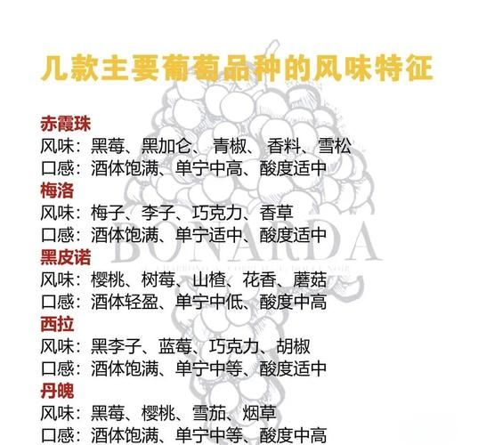 葡萄的品种有哪些_酿酒葡萄与鲜食葡萄区别-第3张图片-山城妙识 葡萄的品种有哪些_酿酒葡萄与鲜食葡萄区别-第3张图片-山城妙识