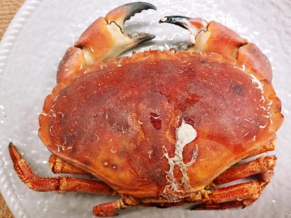 面包蟹清蒸多长时间_蒸多久才熟-第1张图片-山城妙识 面包蟹清蒸多长时间_蒸多久才熟-第1张图片-山城妙识