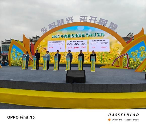 菜花节是几月几日_菜花节在哪里举办-第1张图片-山城妙识 菜花节是几月几日_菜花节在哪里举办-第1张图片-山城妙识