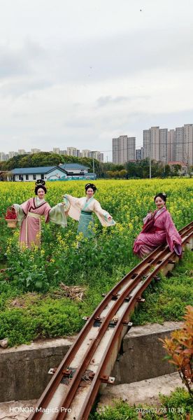 菜花节是几月几日_菜花节在哪里举办-第3张图片-山城妙识 菜花节是几月几日_菜花节在哪里举办-第3张图片-山城妙识
