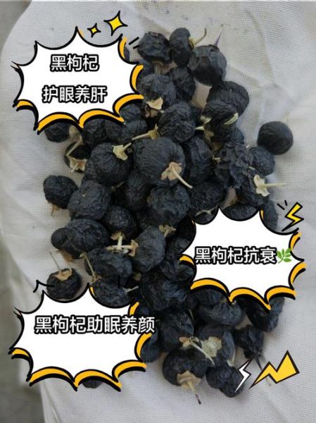 黑枸杞的功效与作用_黑枸杞多少钱一斤-第3张图片-山城妙识
