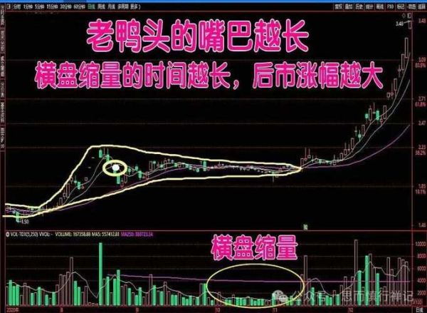 老鸭头一般涨幅是多少_老鸭头形态成功率有多高-第1张图片-山城妙识