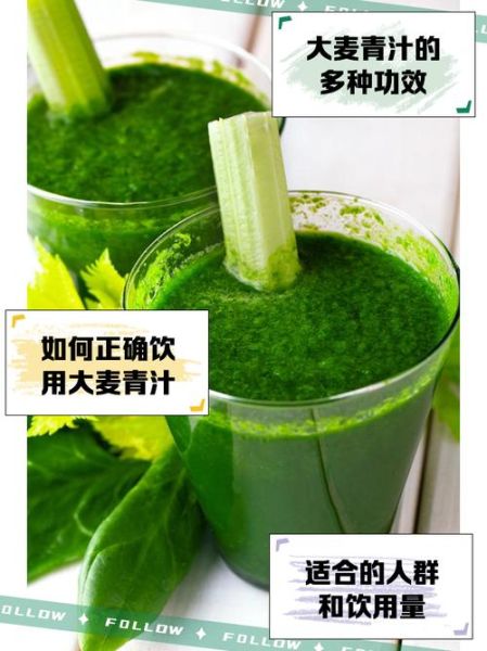大麦青汁能减肥吗_大麦青汁减肥真相-第1张图片-山城妙识
